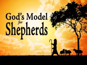 God’s Model for Shepherds (Video) – Focus Online