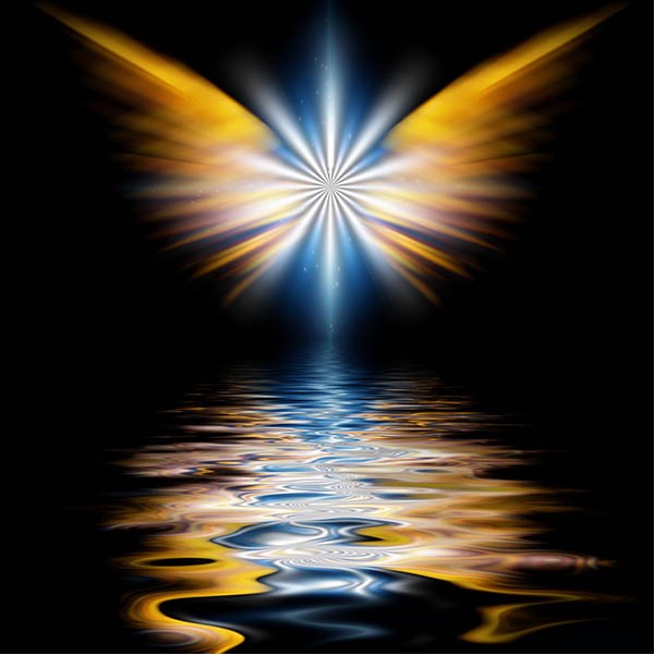 Shine Your Light – Focus Online